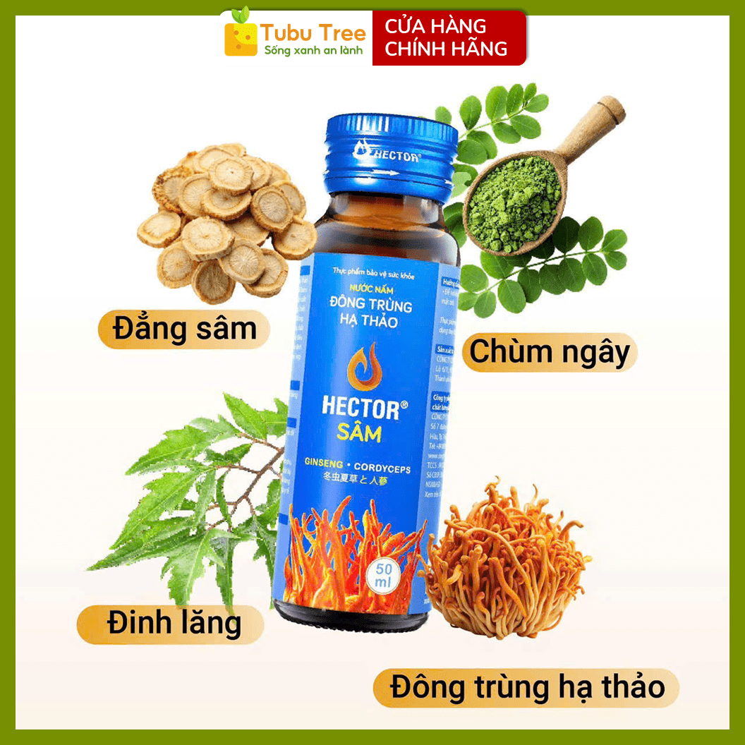 Nước Đông Trùng Hạ Thảo HECTOR Sâm Tăng Cường Sức Khỏe 70ml x 10 Chai ...
